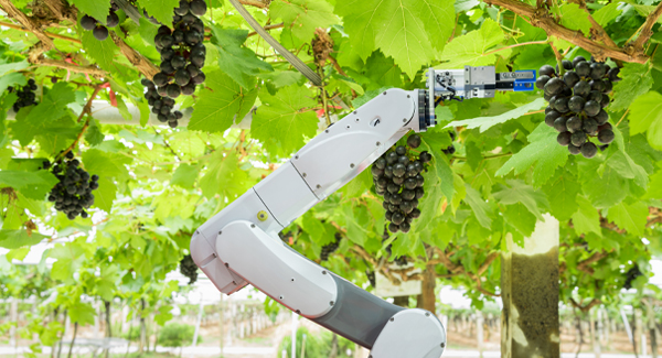 户外机器人 | Kollmorgen